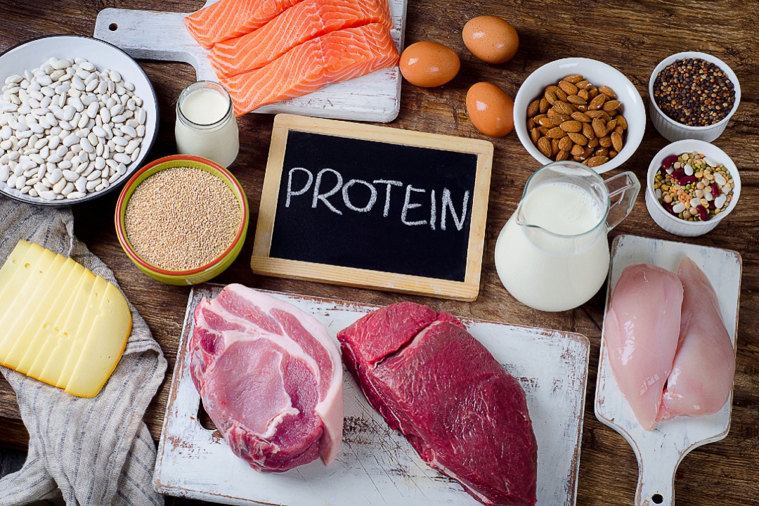 Nutrition: Do You Know the Latest Guidance on Protein for Young ...