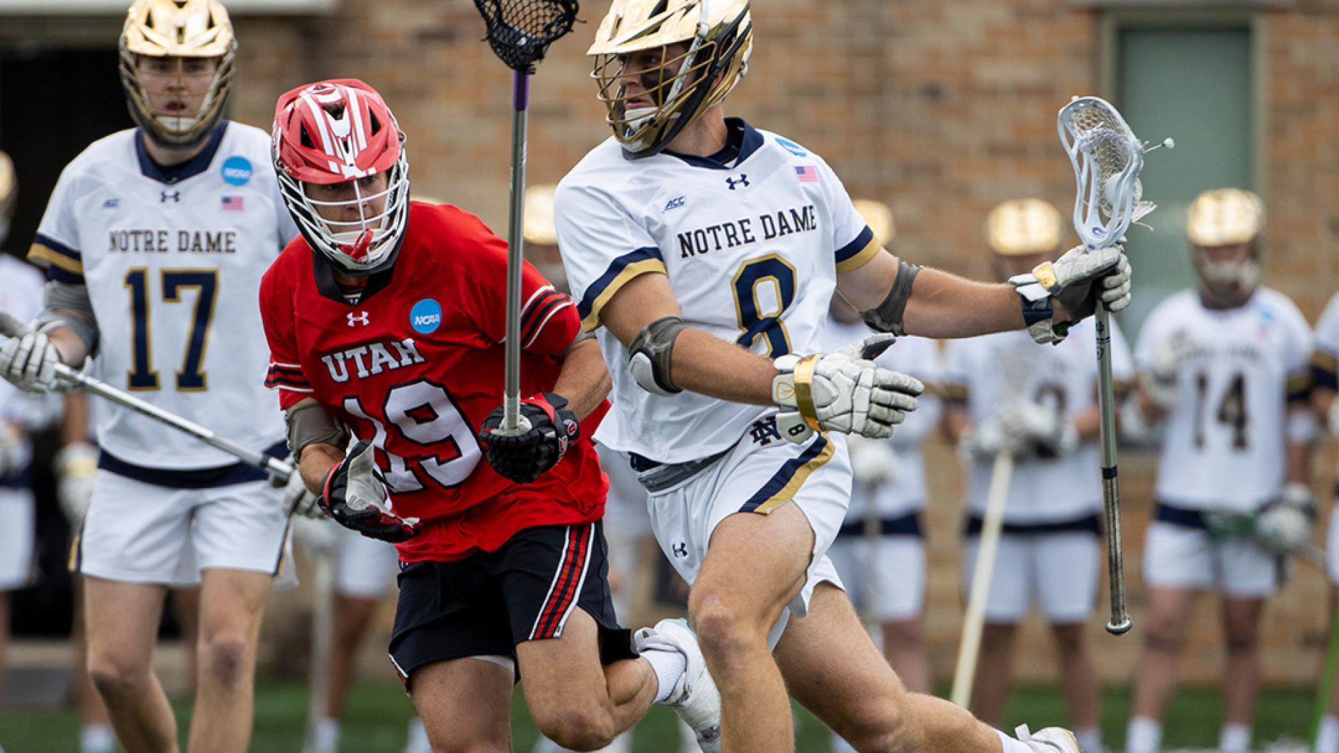 USA Lacrosse Announces 2024 Division I Men's Preseason All-Americans ...