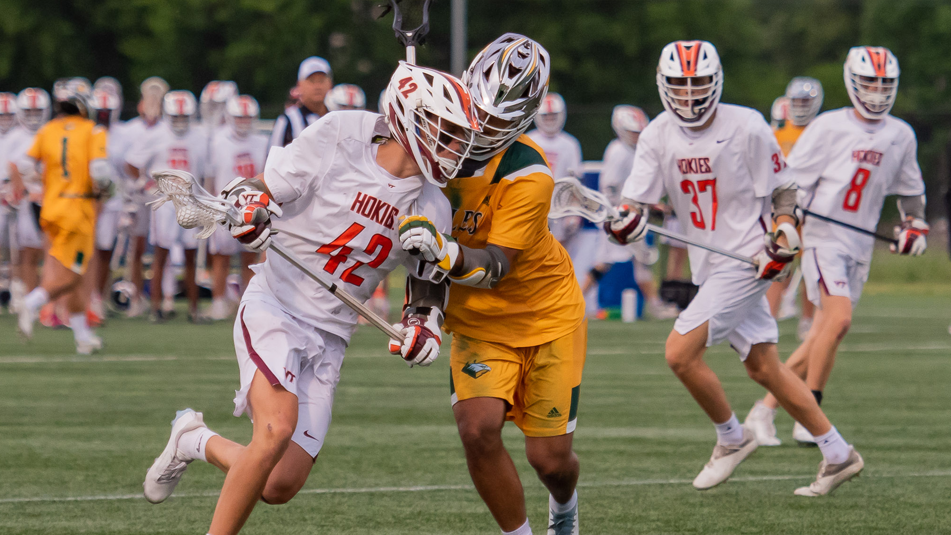 No. 1 Virginia Tech Maintains Big Lead in MCLA Division I Poll | USA ...