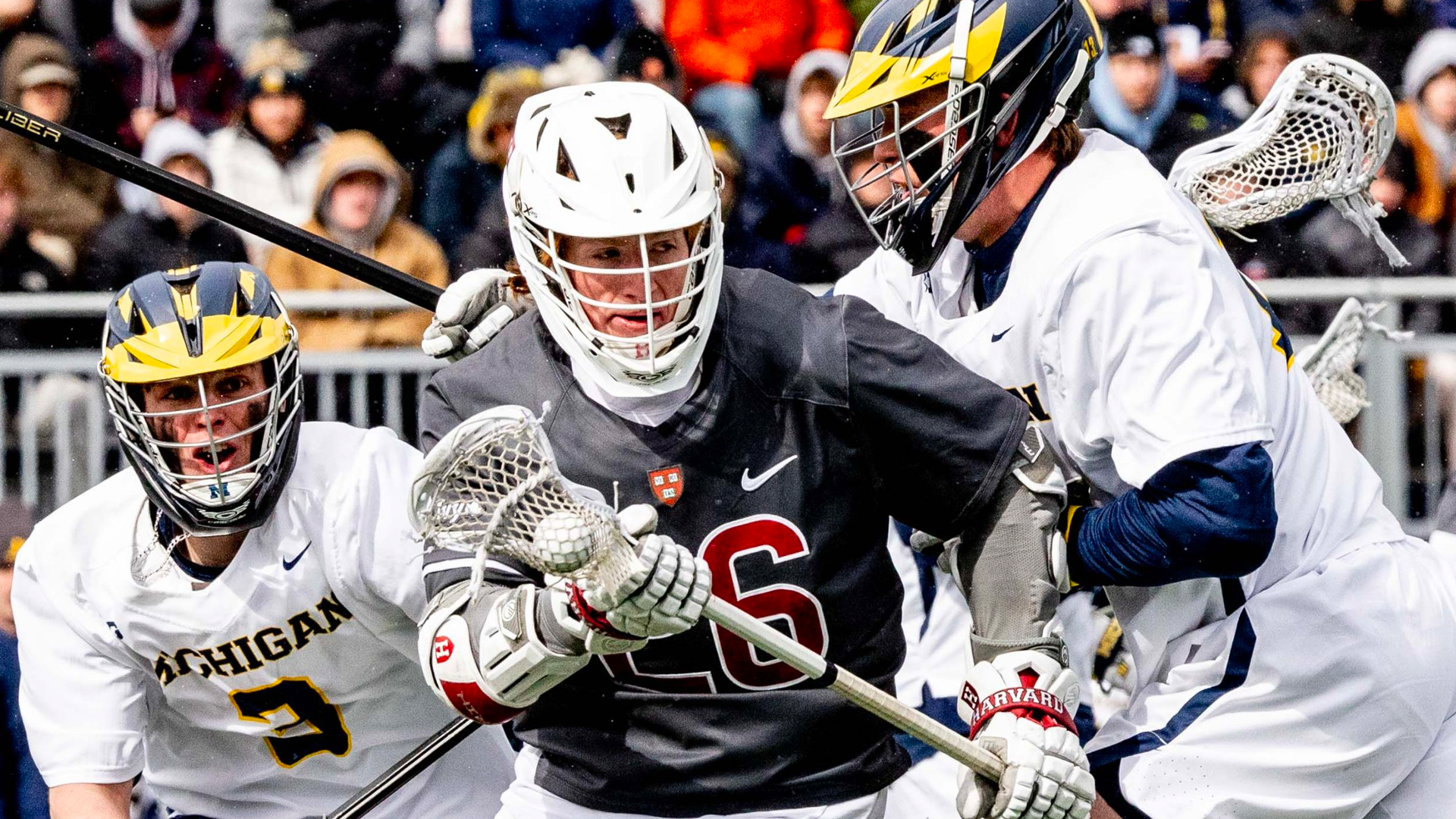 Big Ten Perils Shake Up USA Lacrosse Division I Men's Top 20 | USA Lacrosse