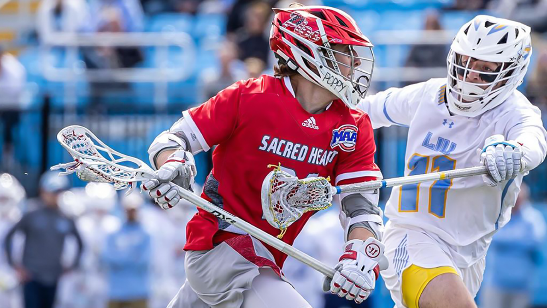 Sacred Heart Enjoying Best Stretch Since 1996 | USA Lacrosse