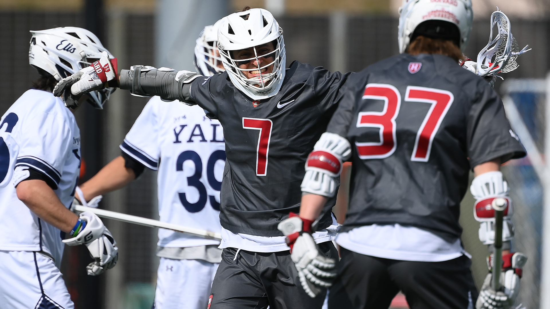 NCAA Rewind: Superb Offense Carried Harvard | USA Lacrosse